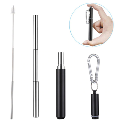 Portable Straw Stainless | Lifetime Kitchen